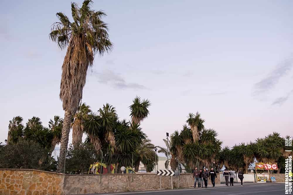 Acerca del festival - International Dub Gathering