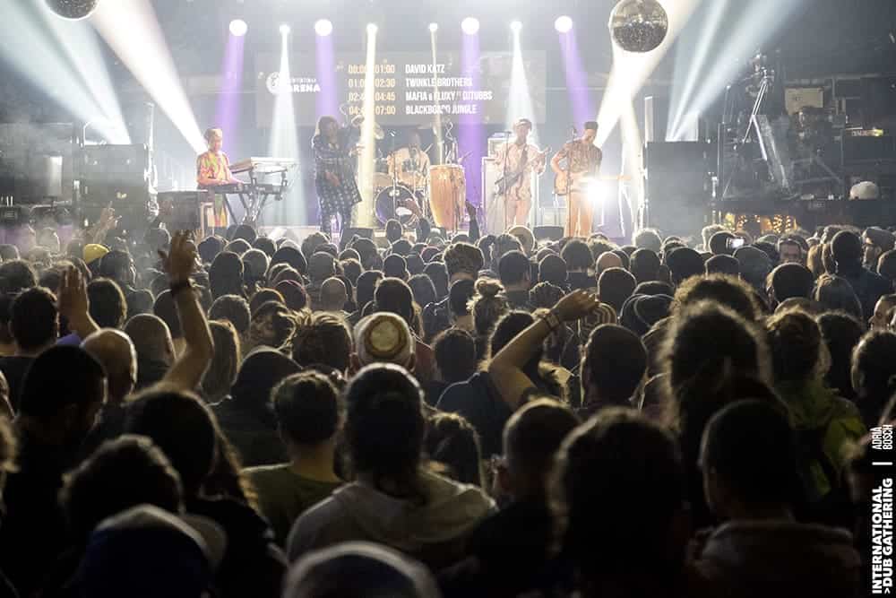 About the festival - International Dub Gathering