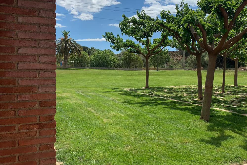 Useful info - International Dub Gathering