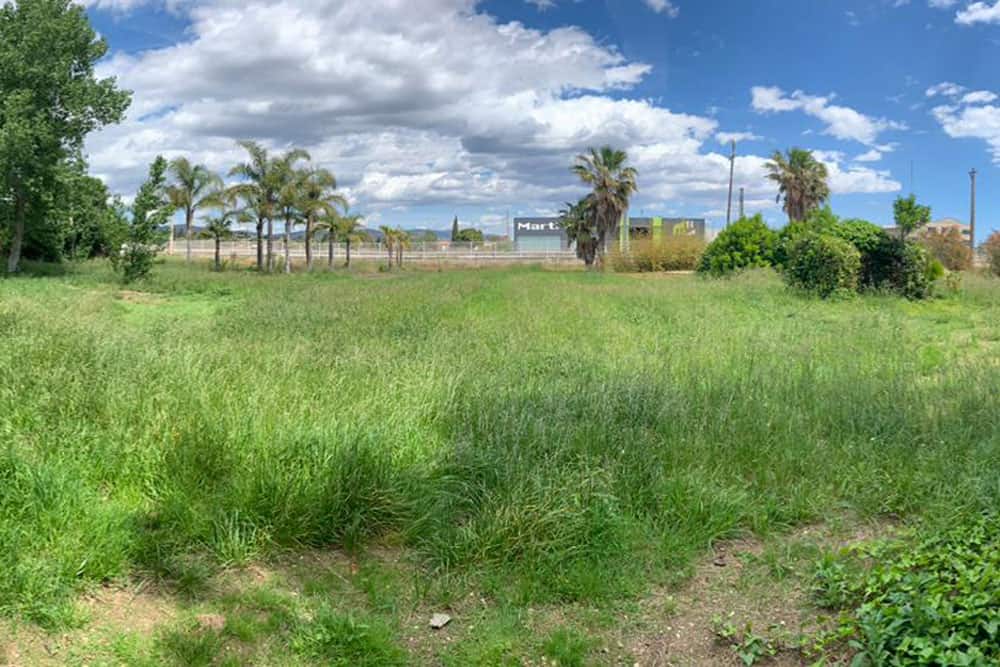 Useful info - International Dub Gathering