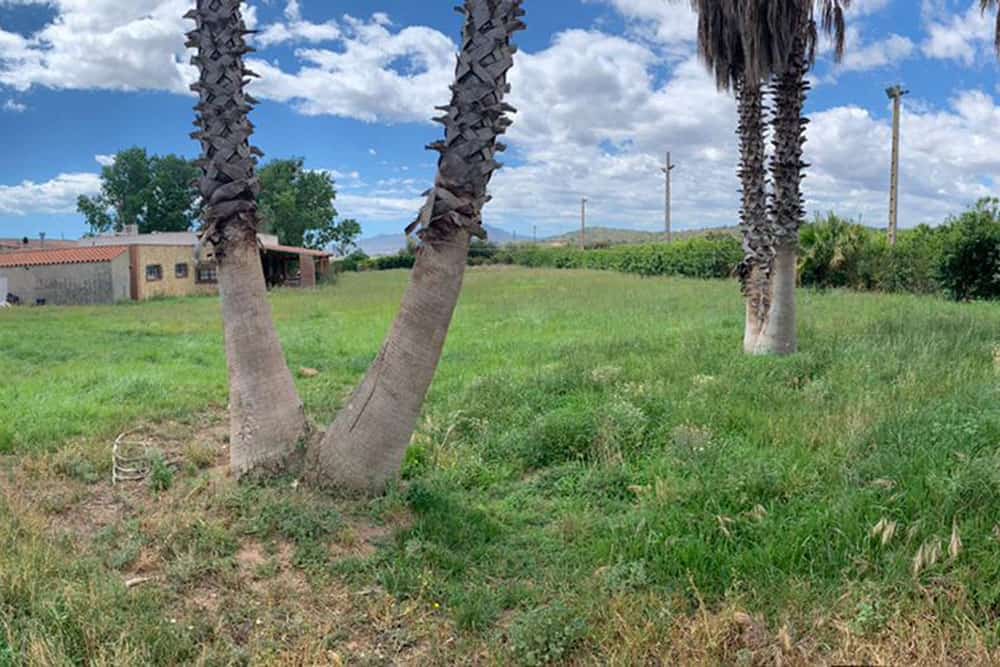 Useful info - International Dub Gathering