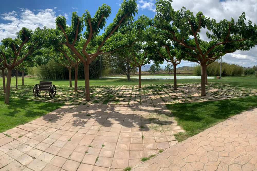 Useful info - International Dub Gathering